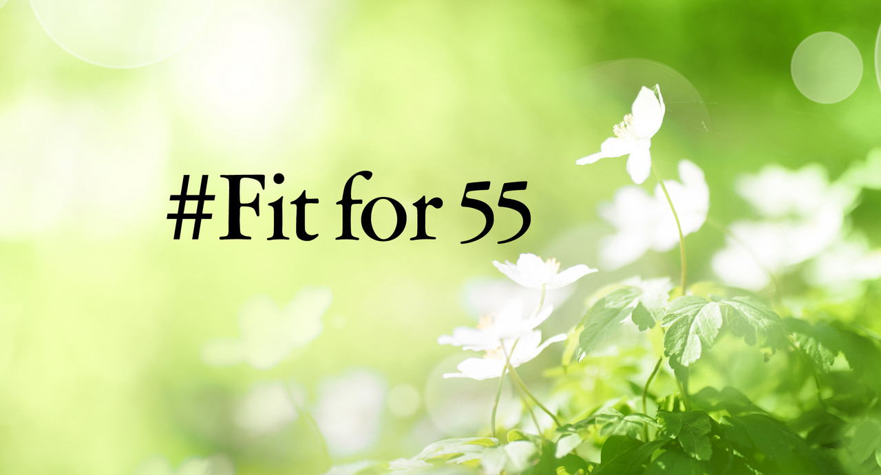 European Green Deal / „Fit for 55“: Initiative des ...